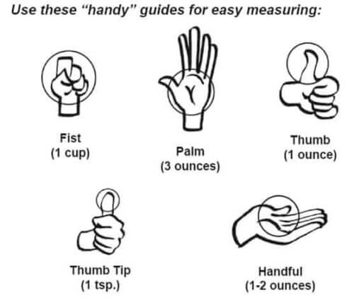 DIY Handy Food Portion Sizes by Marci Sloane | ADW Diabetes