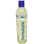 Dechra Dermalyte Pet Shampoo | Pet Care: Pet Grooming Supplies